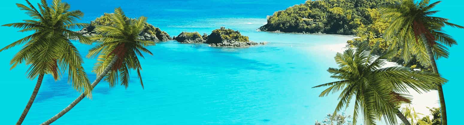 Nicovip : vente d'e-cigarette et e-liquide 100 % français