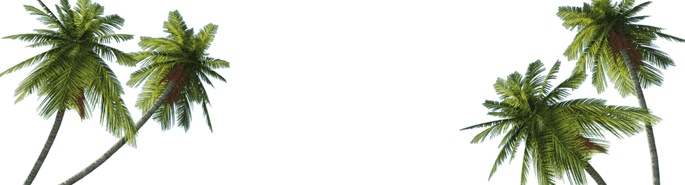 Nicovip : vente d'e-cigarette et e-liquide 100 % français